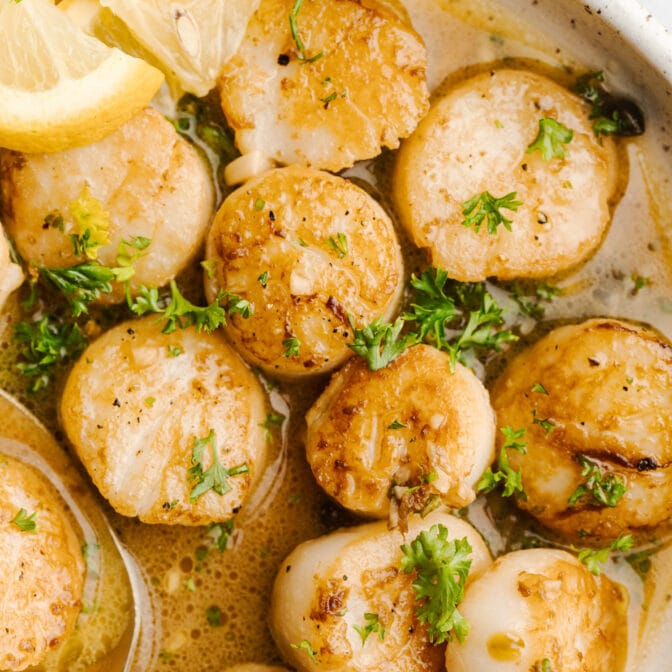 15-Minute Pan-Seared Scallops (Smooth with a golden crust ...